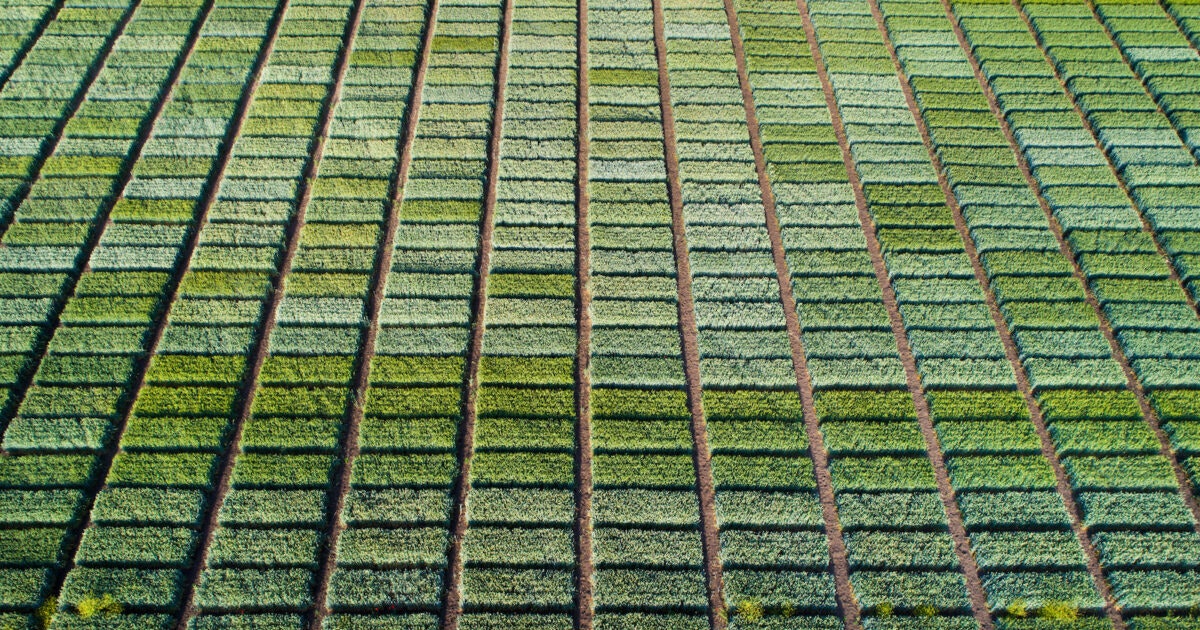 FDA Under Trump Should Continue… | The Breakthrough Institute