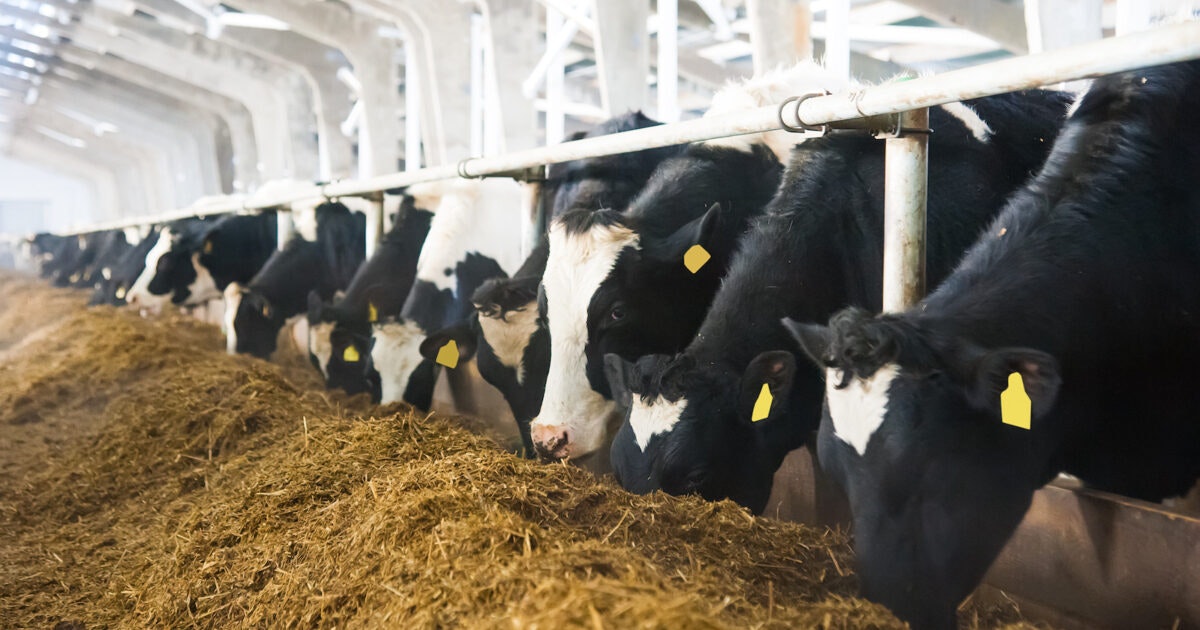 To Decarbonize Food Production, Congress… | The Breakthrough Institute