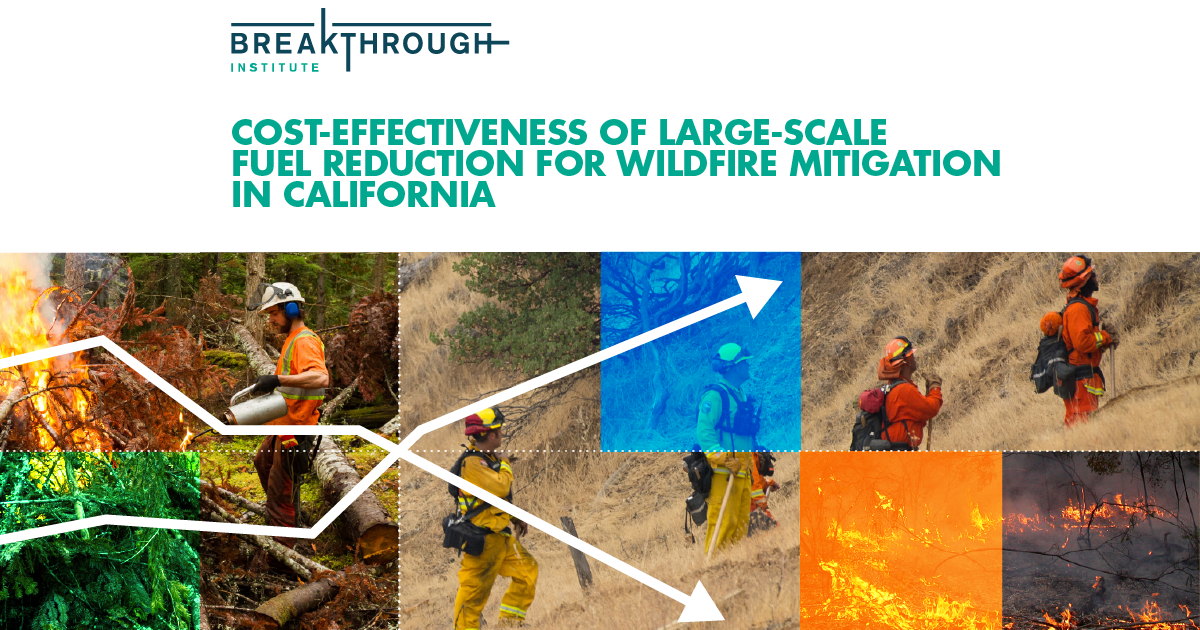 Cost-Effectiveness Of Large-Scale Fuel… | The Breakthrough Institute