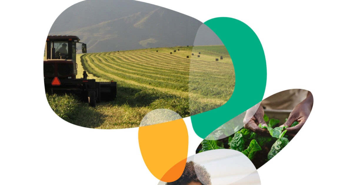 African Agricultural Research and… | The Breakthrough Institute