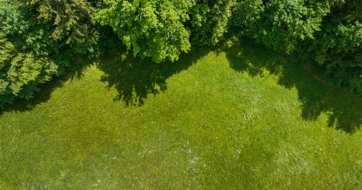 Conservation Vs. the Climate | The Breakthrough Institute