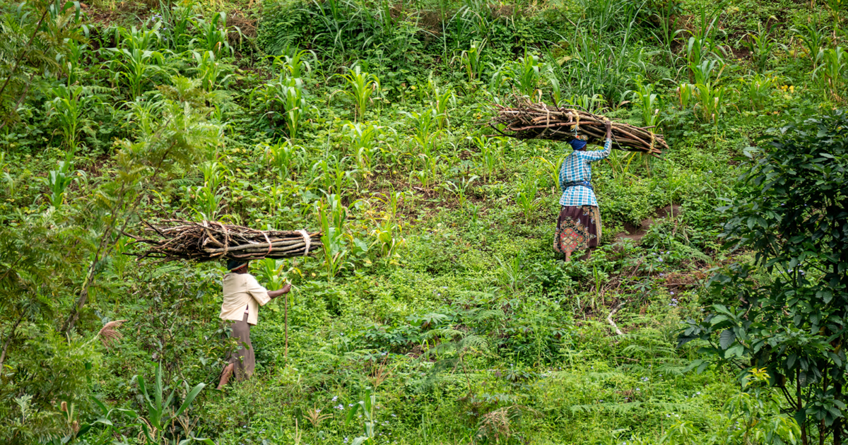 Green Colonialism: Rich Countries’… | The Breakthrough Institute