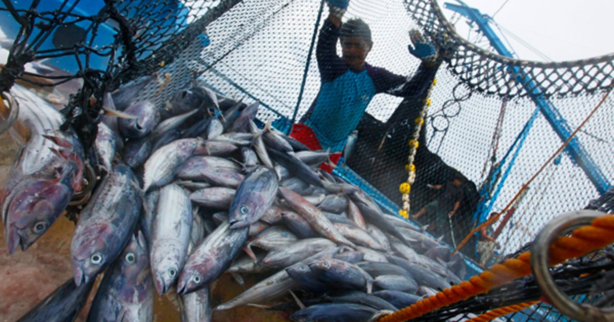 Marine Biodiversity is the New Frontier… | The Breakthrough Institute