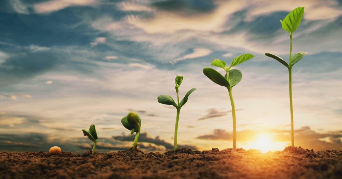 What is the Specialty Crop Research… | The Breakthrough Institute